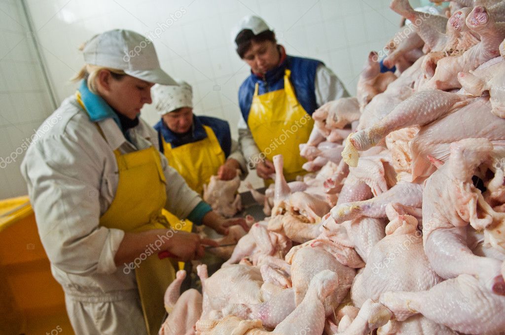 Poultry processing in food industry – Stock Editorial Photo ...
