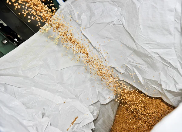 Soybean waste — Stock Photo © vipavlenkoff #34141819