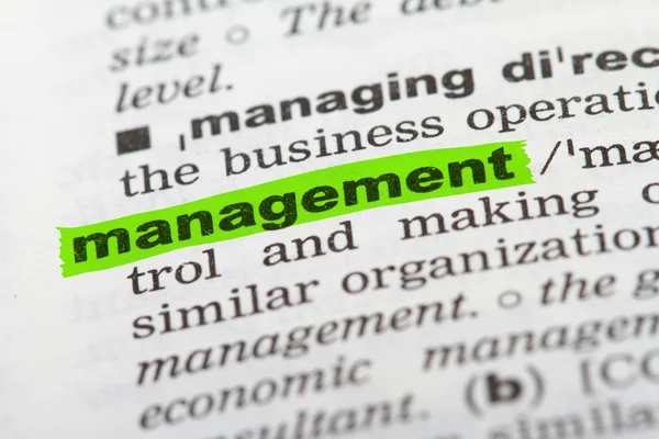 Word Strategy in Dictionary — Stock Photo © niglaynike #30478793