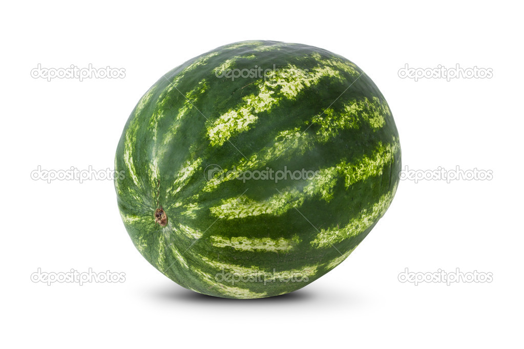 Full Watermelon — Stock Photo © niglaynike #51309435 Full Watermelon — Stock Photo © niglaynike #51309435