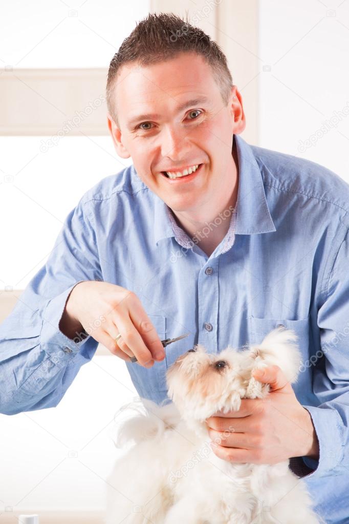 Dog grooming — Stock Photo © Amaviael #24501549