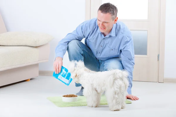 Dog and owner - Stock Image - Everypixel