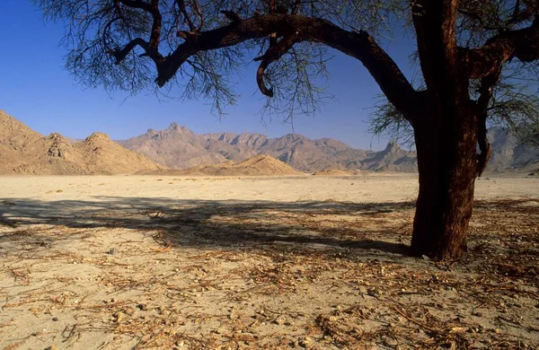 Balochistan pakistan Stock Photos, Royalty Free Balochistan pakistan ...