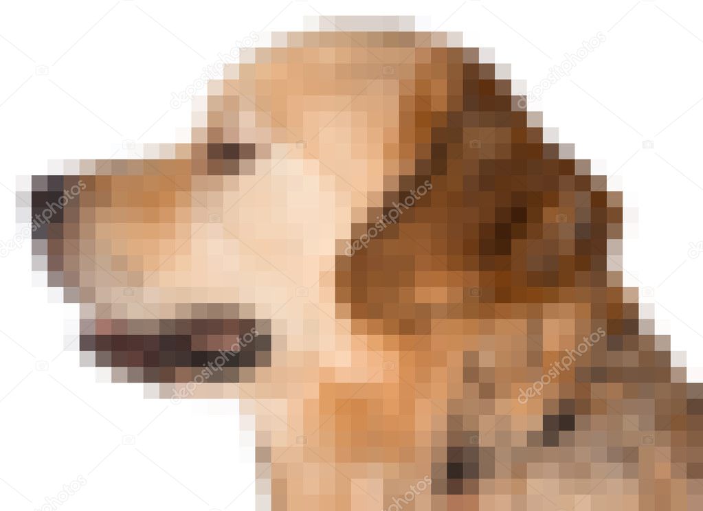 Pixel image of dog — Stock Photo © alexeysmirnov #26378503