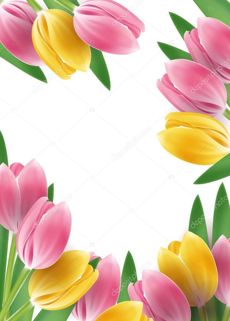 Tulips design template or background Stock Vector Image by ...