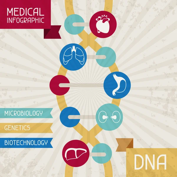 Dna diagram Stock Vectors, Royalty Free Dna diagram Illustrations ...