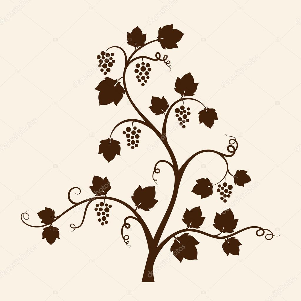Grape vine silhouette. — Stock Vector © babyflower #12915698 Grape vine silhouette. — Stock Vector © babyflower #12915698