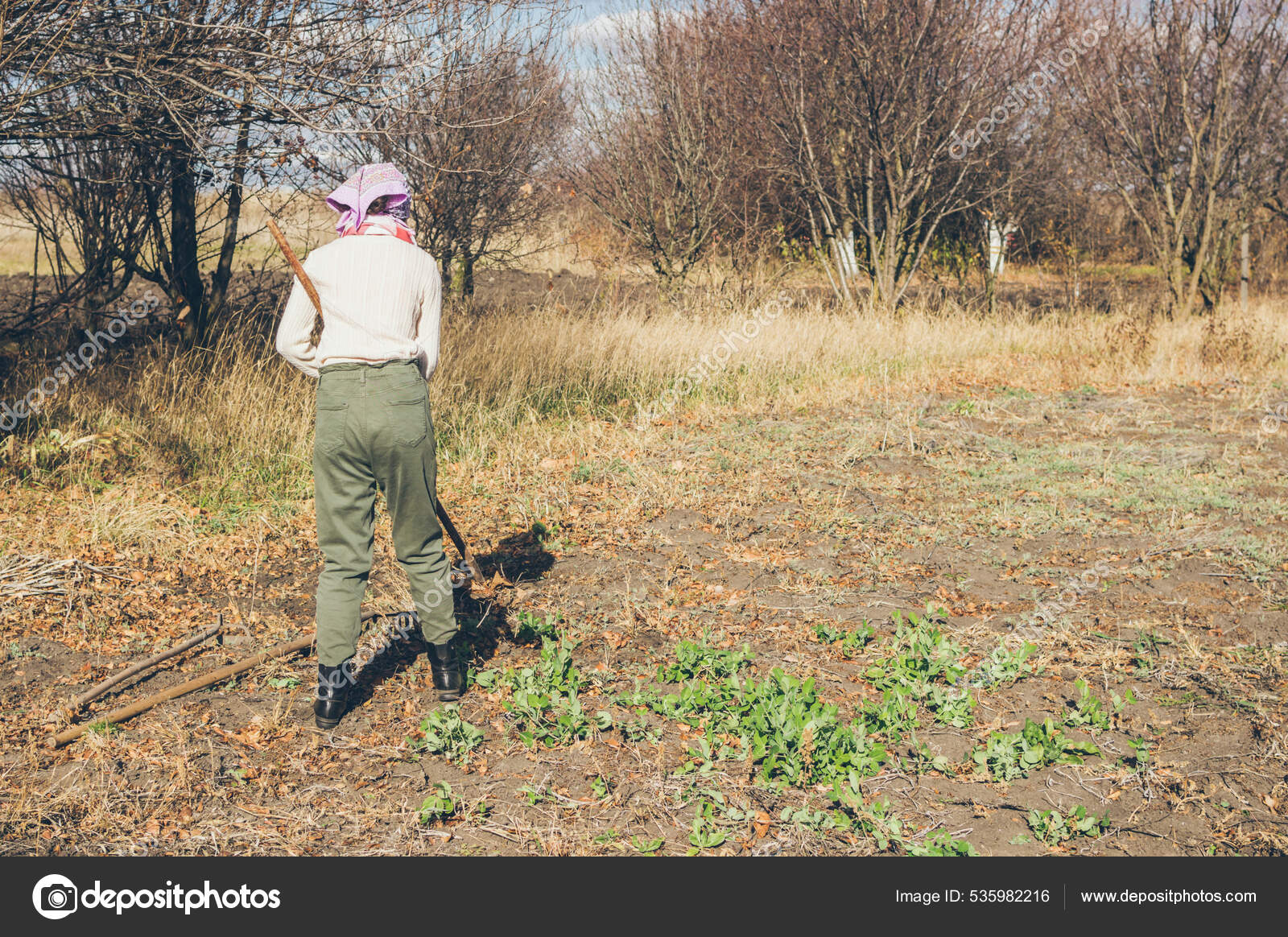 Worker Scrapes Dry Grass Rake Ground — Stock Photo © Cavan #535982216