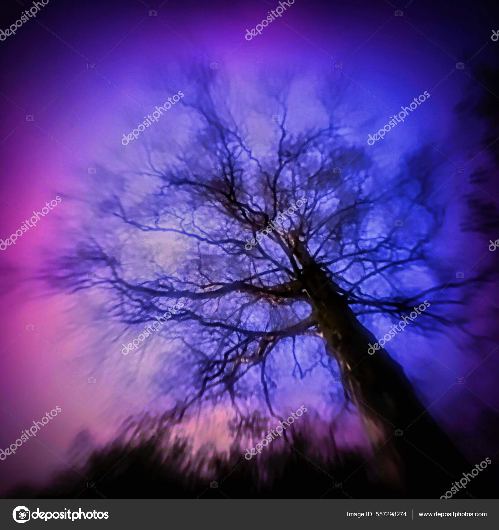Folk Horror Aesthetic Tree Shot Pinhole Lens Stock Photo by ©Cavan ...