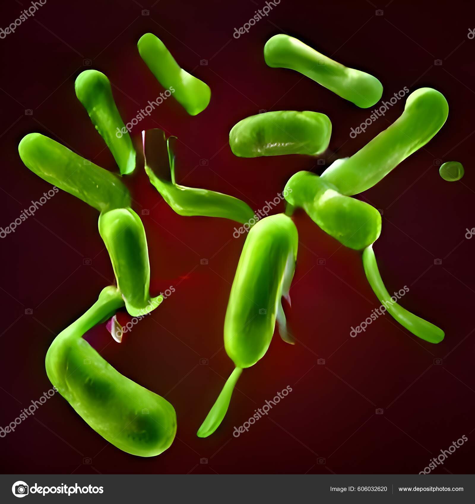 Escherichia Coli Coli Cells Bacteria Microscope — Foto de stock © Cavan ...