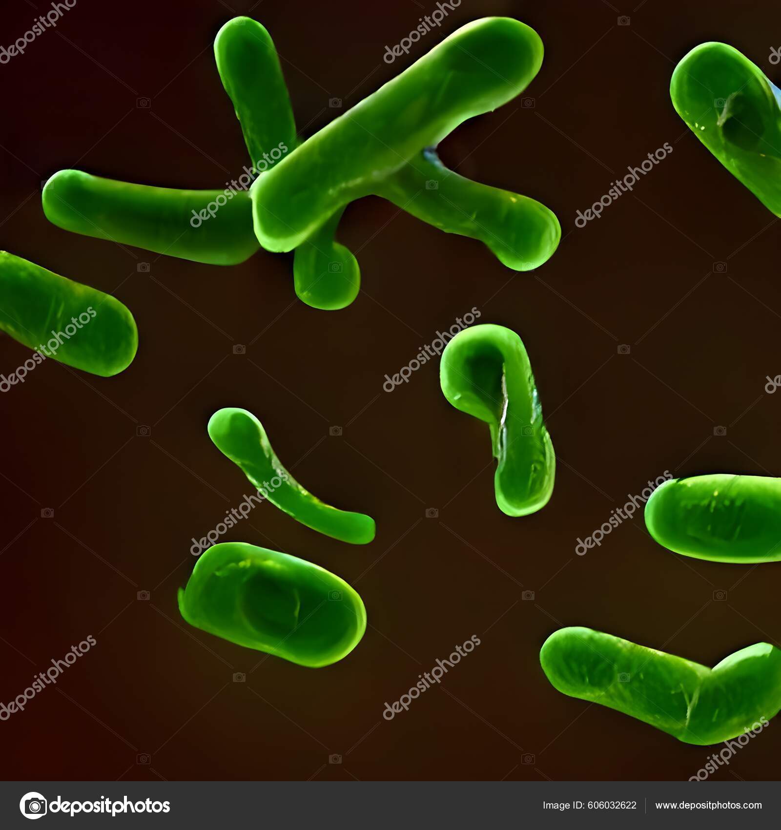 Escherichia Coli Coli Cells Bacteria Microscope Stock Photo by ©Cavan ...