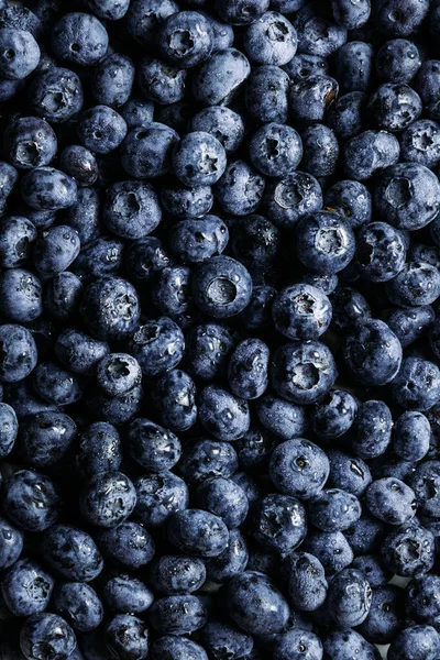 Caviar azul Stockfotografier, royaltyfria Caviar azul bilder ...