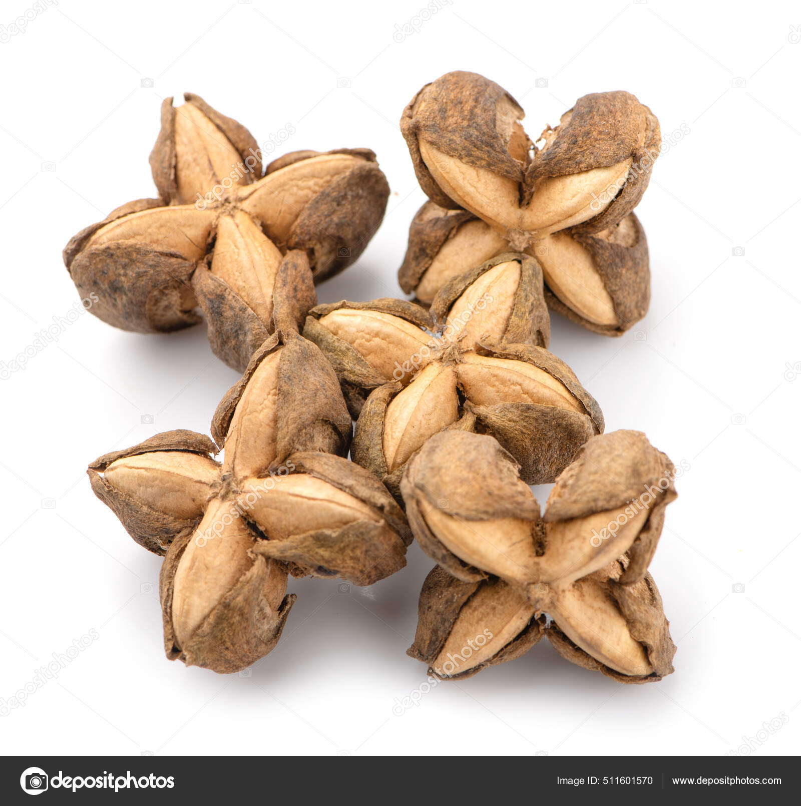 Nuts Incas Sacha Inchi Peanut Seed Isolated White Background Stock ...