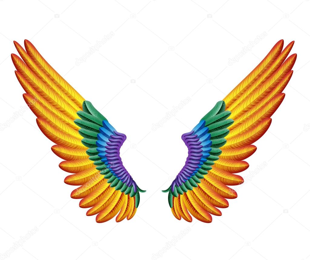 Colored Wings Clipart Color Wings Png Images | PNGWing