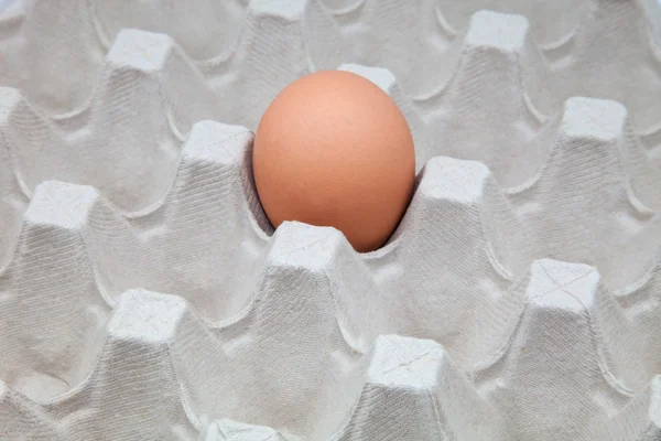 A single egg — Stock Photo © stable400 #28413959