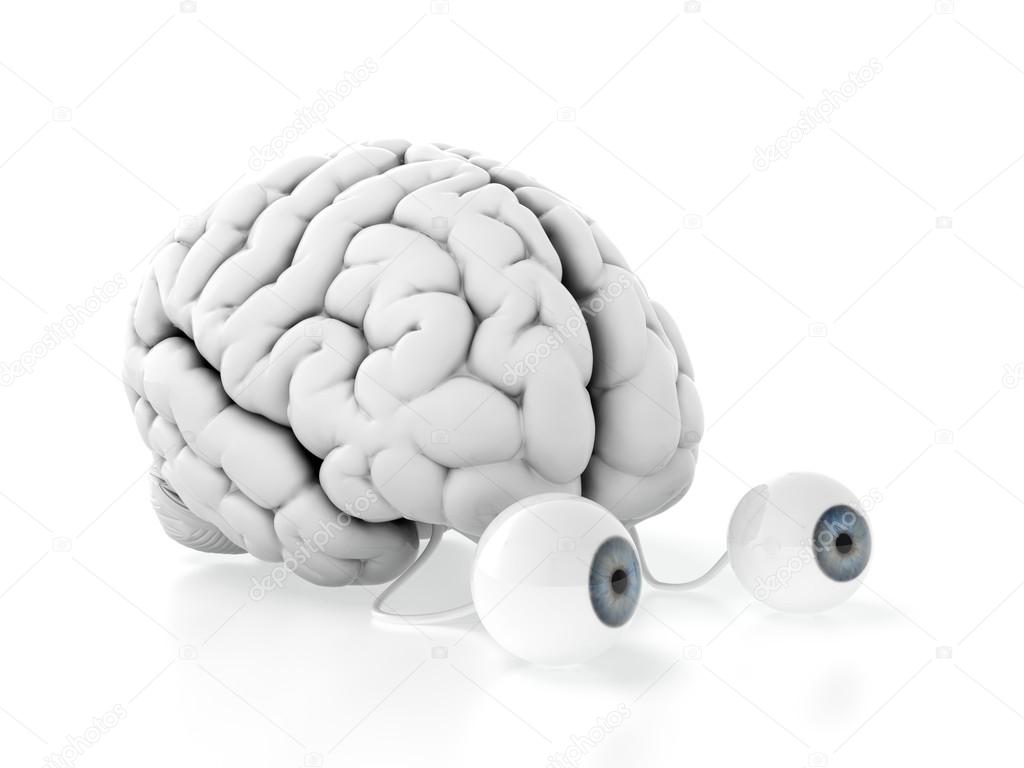 Brain with eyes Stock Photo by ©vasabii777 12566441