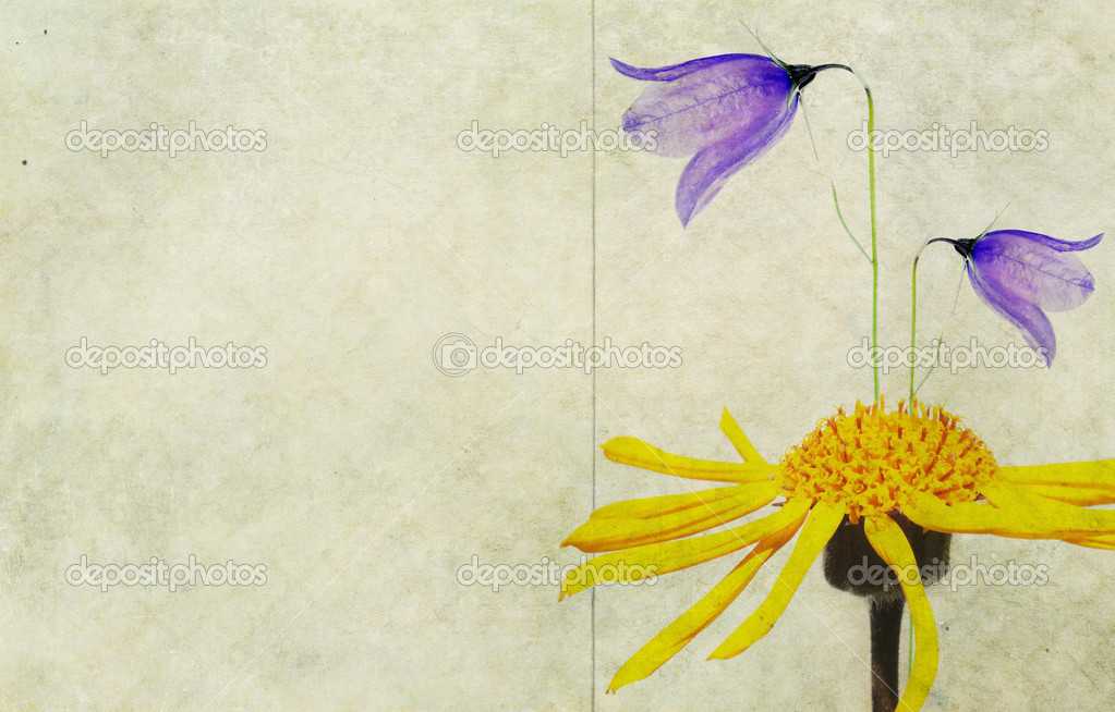 Earthy floral background Stock Photo by ©anjalilikespeppersauce 31241059