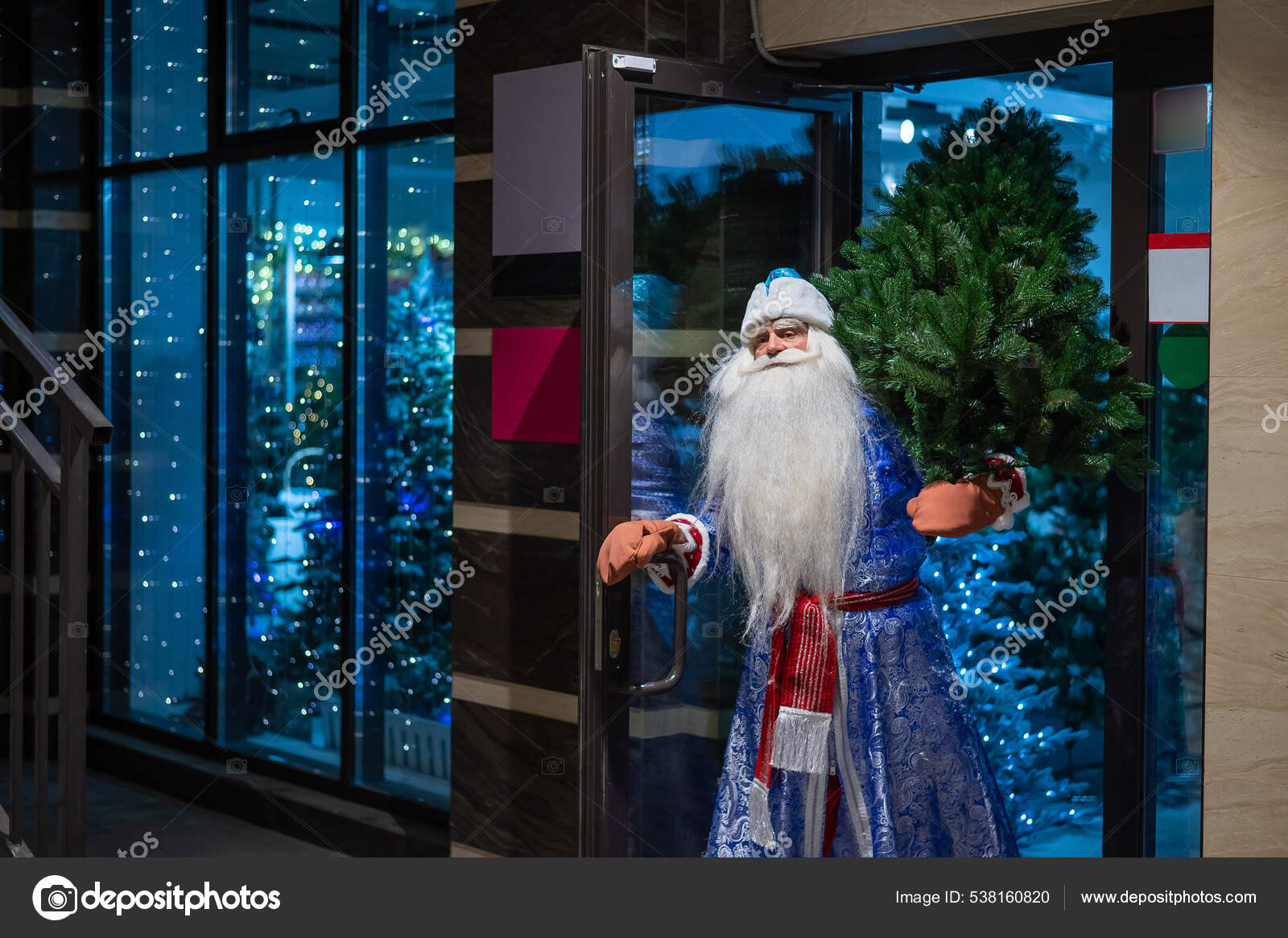 Russian Santa Claus bought a Christmas tree on New Years Eve. Stock ...