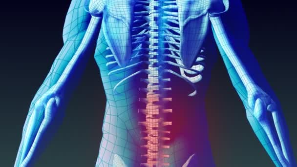 Back pain Stock Videos, Royalty Free Back pain Footages | Depositphotos®