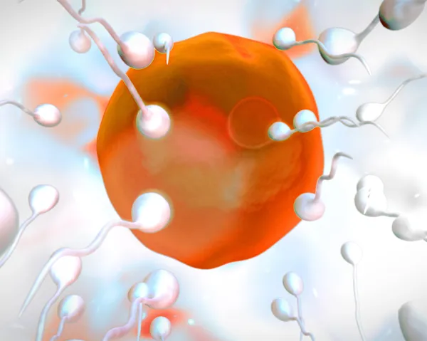 The ivf images libres de droit, photos de The ivf | Depositphotos