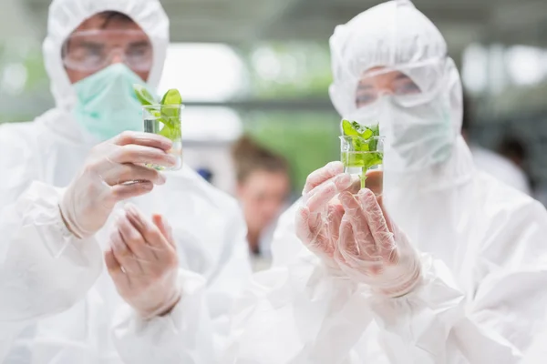Students standing at the laboratory holding up beakers with plan ...
