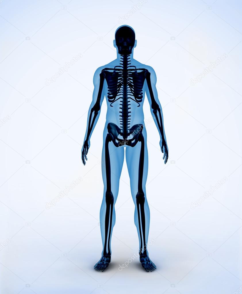 Black and blue digital skeleton — Stock Photo © Wavebreakmedia #24110913