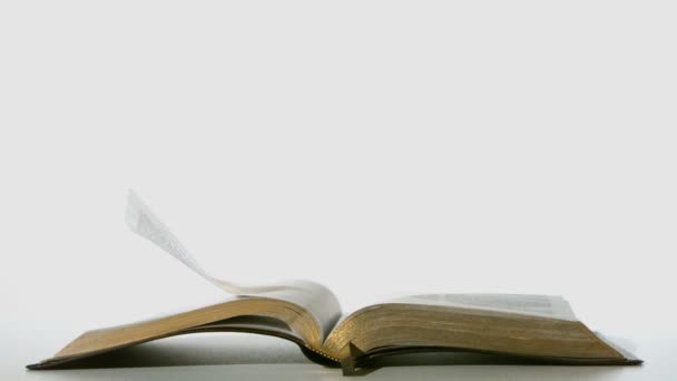 123 Bible flipping pages Videos, Royalty-free Stock Bible flipping ...