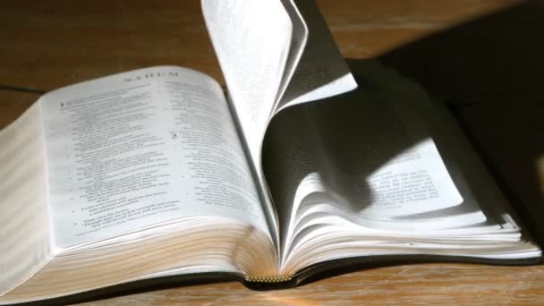 113 Bible flipping pages Videos, Royalty-free Stock Bible flipping ...