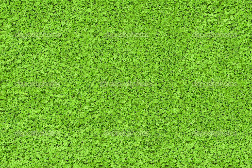 Green nature texture Stock Photo by ©Wavebreakmedia 25731211