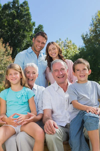 Multigeneration family Stock Photos, Royalty Free Multigeneration ...