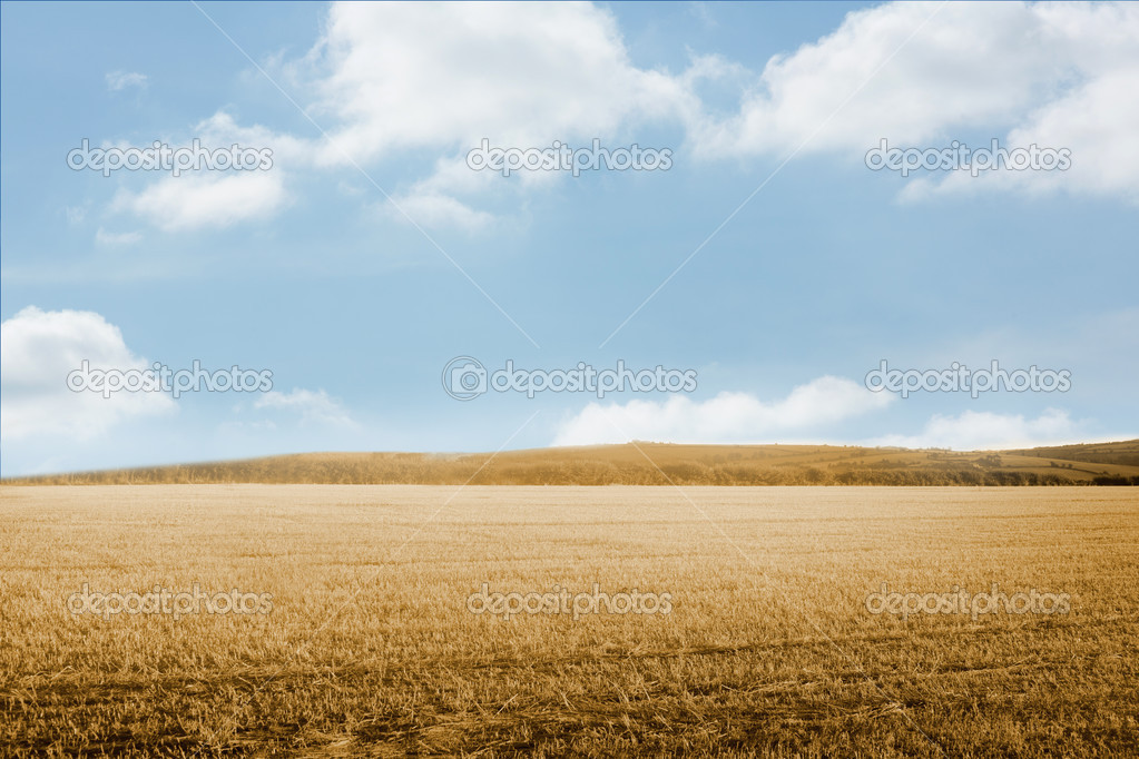 Bright brown landscape Stock Photo by ©Wavebreakmedia 36252527