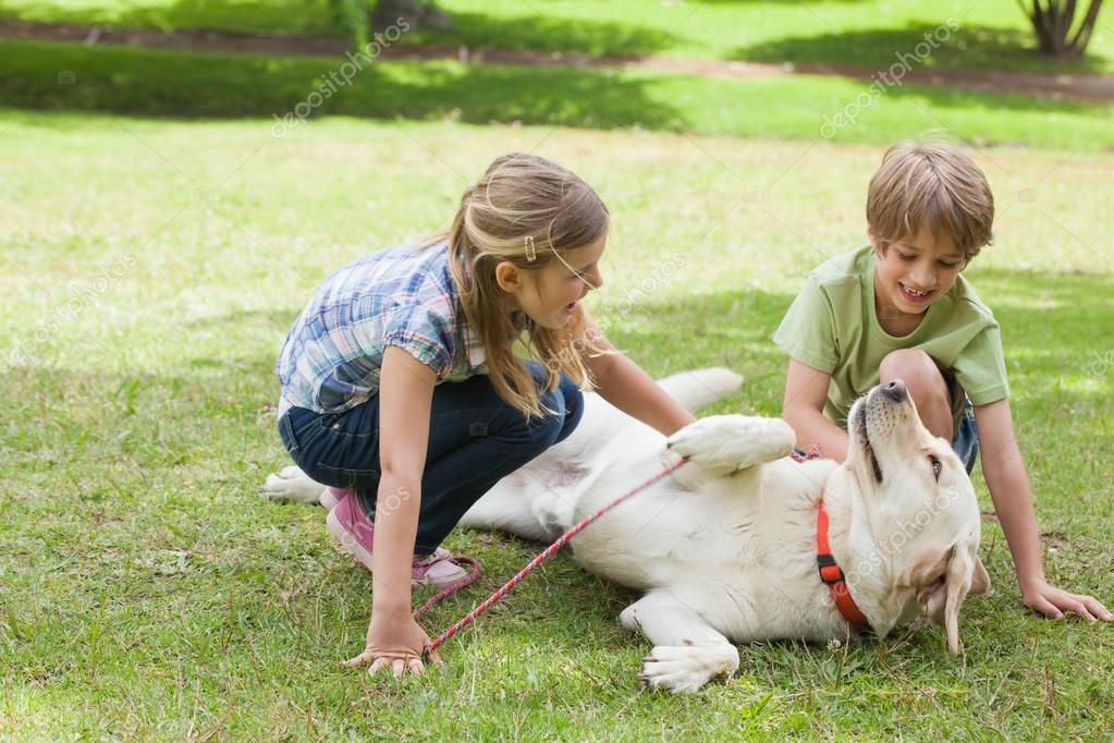 Niños jugando con perro mascota — Foto de stock #42928341 © Wavebreakmedia
