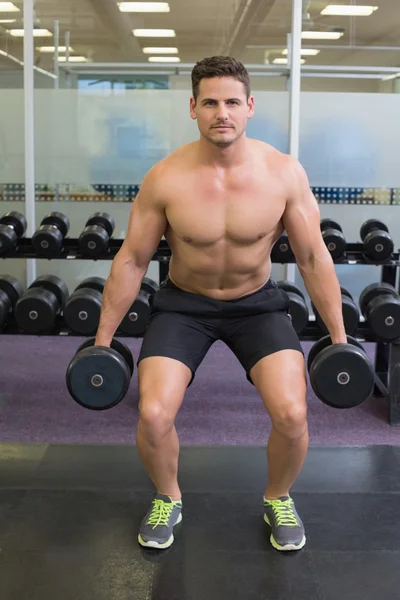 Bodybuilder lifting heavy dumbbells - Stock Image - Everypixel