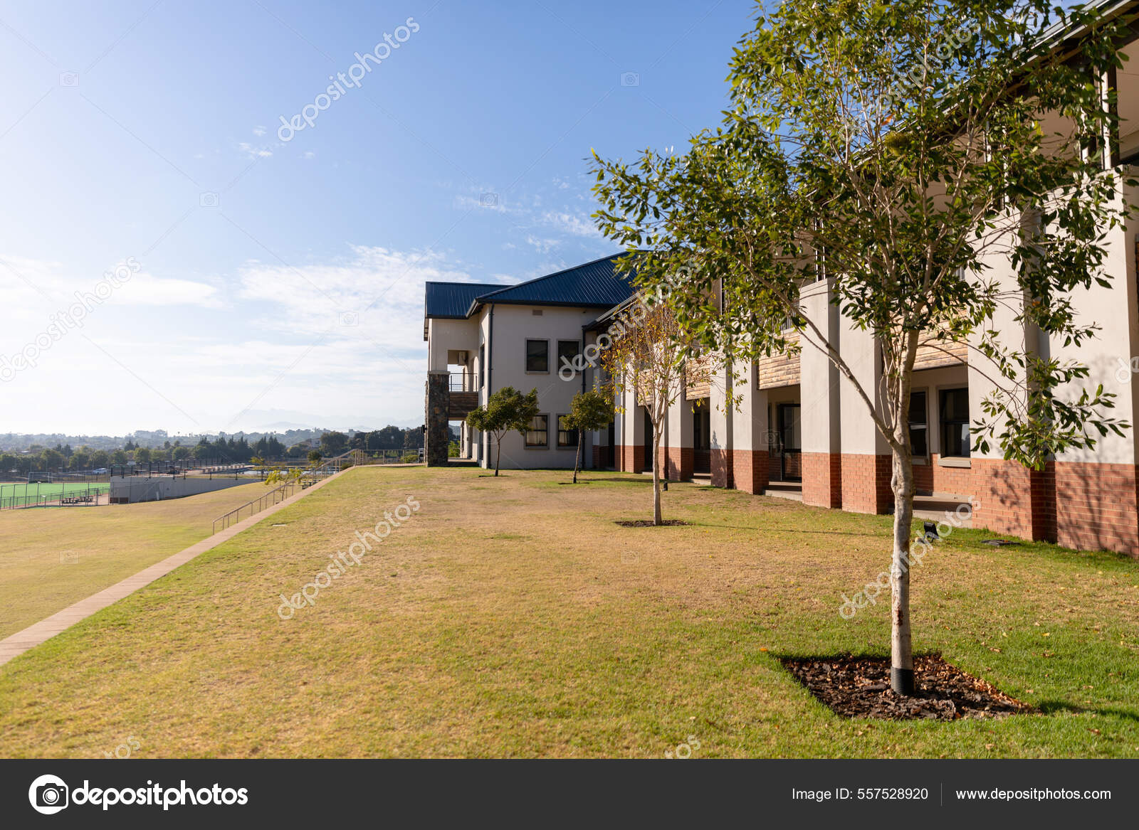 Trees Field School Building Sky Sunny Day Unaltered Architecture ...