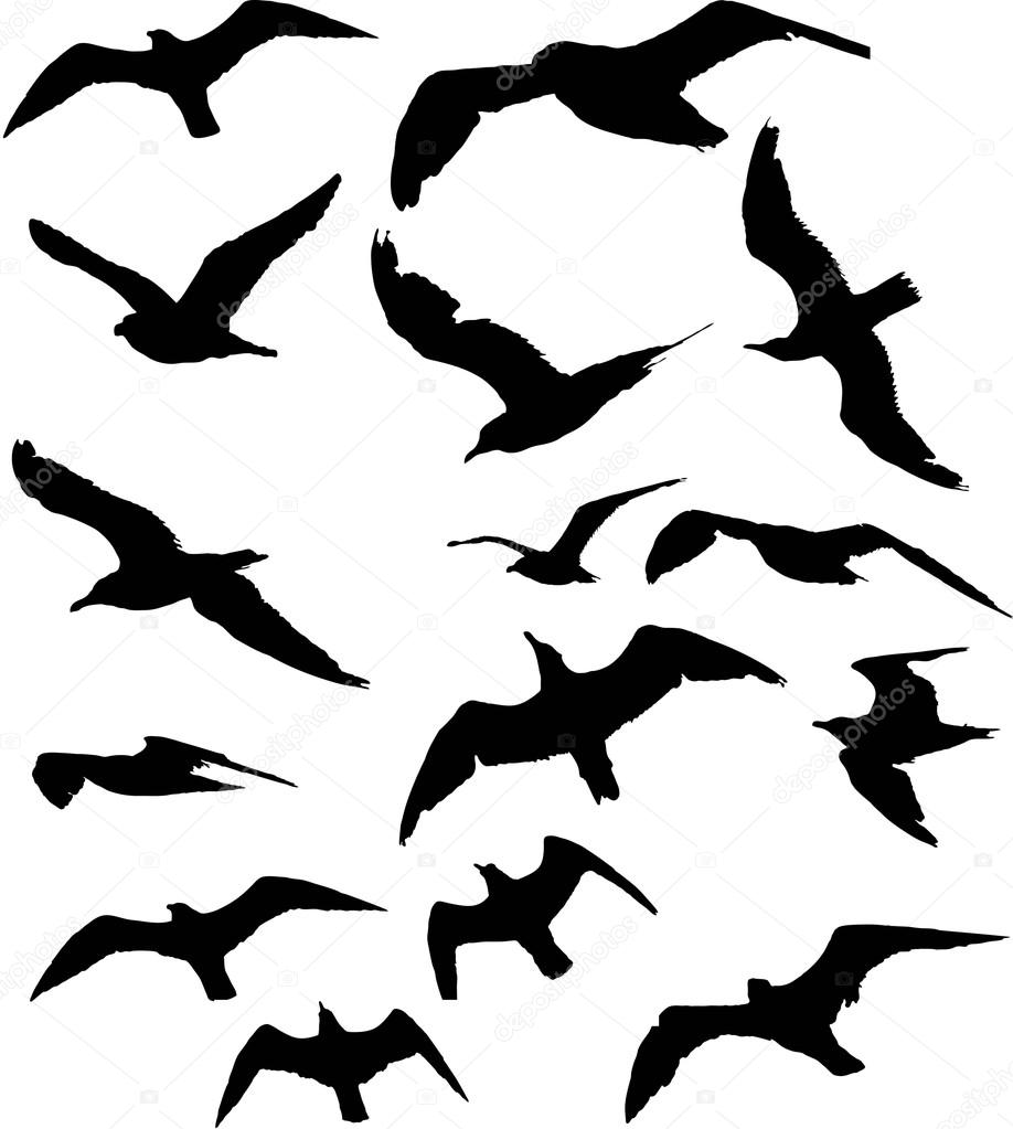 Seagull silhouettes — Stock Vector © ktinte #18524877