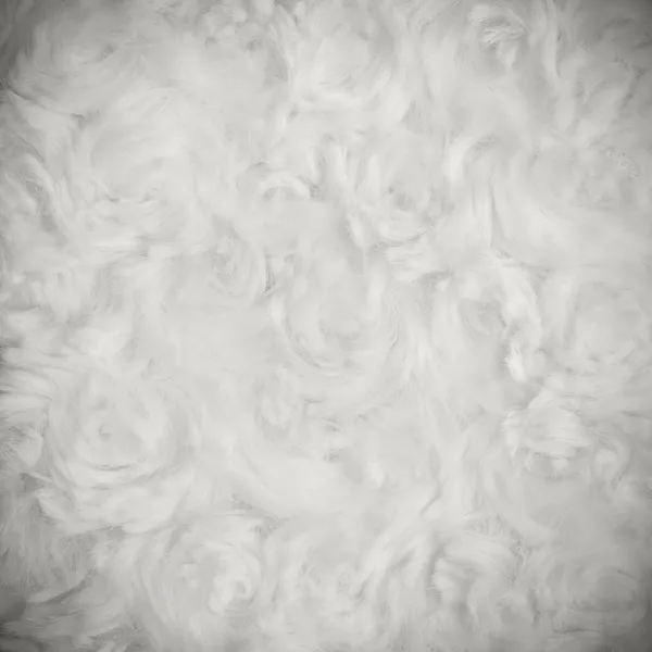 Cotton Wool — Stock Photo © Quagmire #42868081