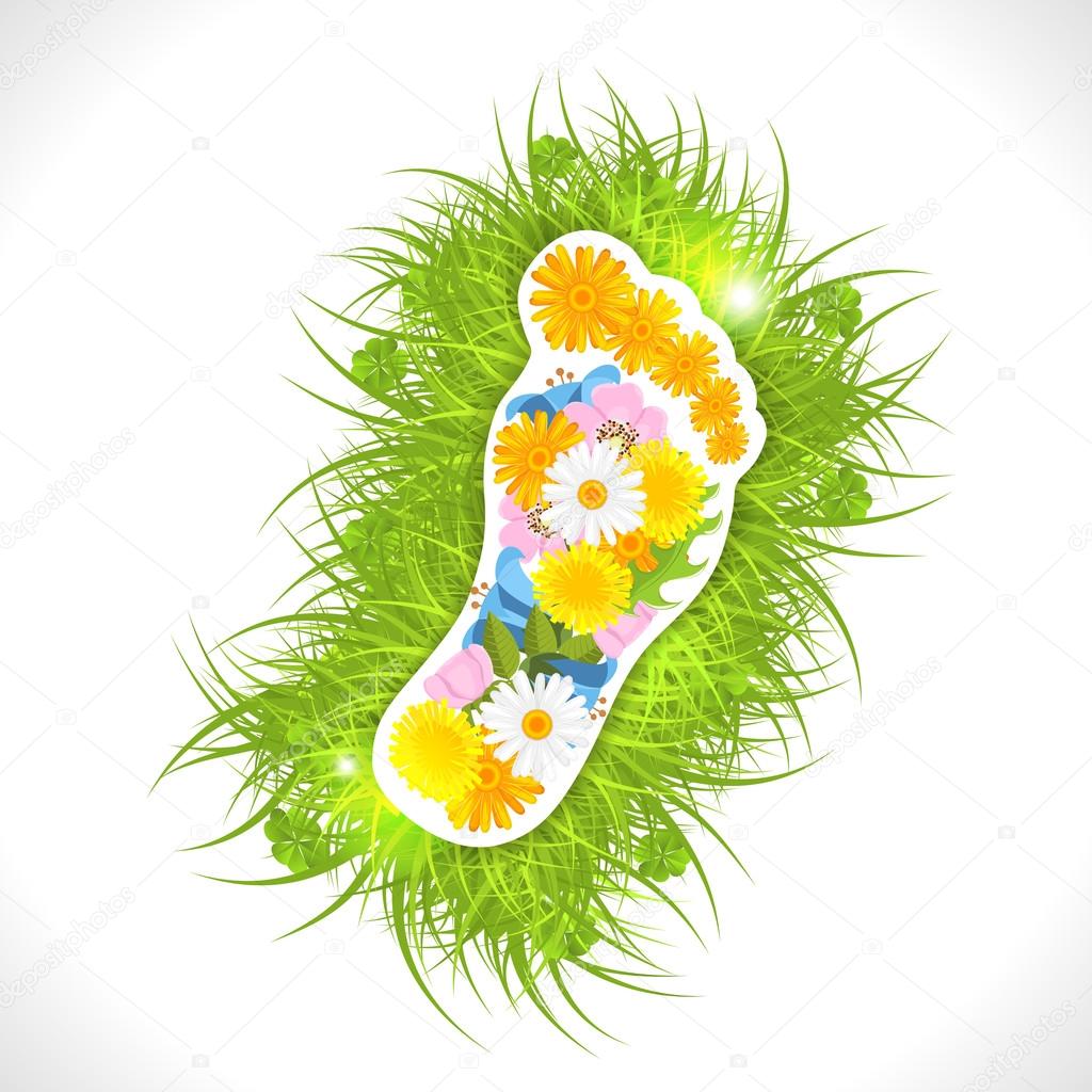 Footprint from flowers in green grass Stock Vector Image by ...