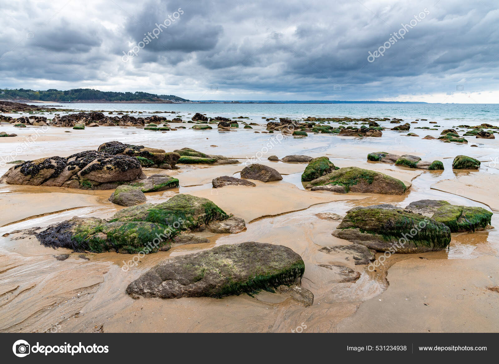 Wet Sand Rocks Covered Seaweed Mussels Visible Low Tide Beach Stock ...