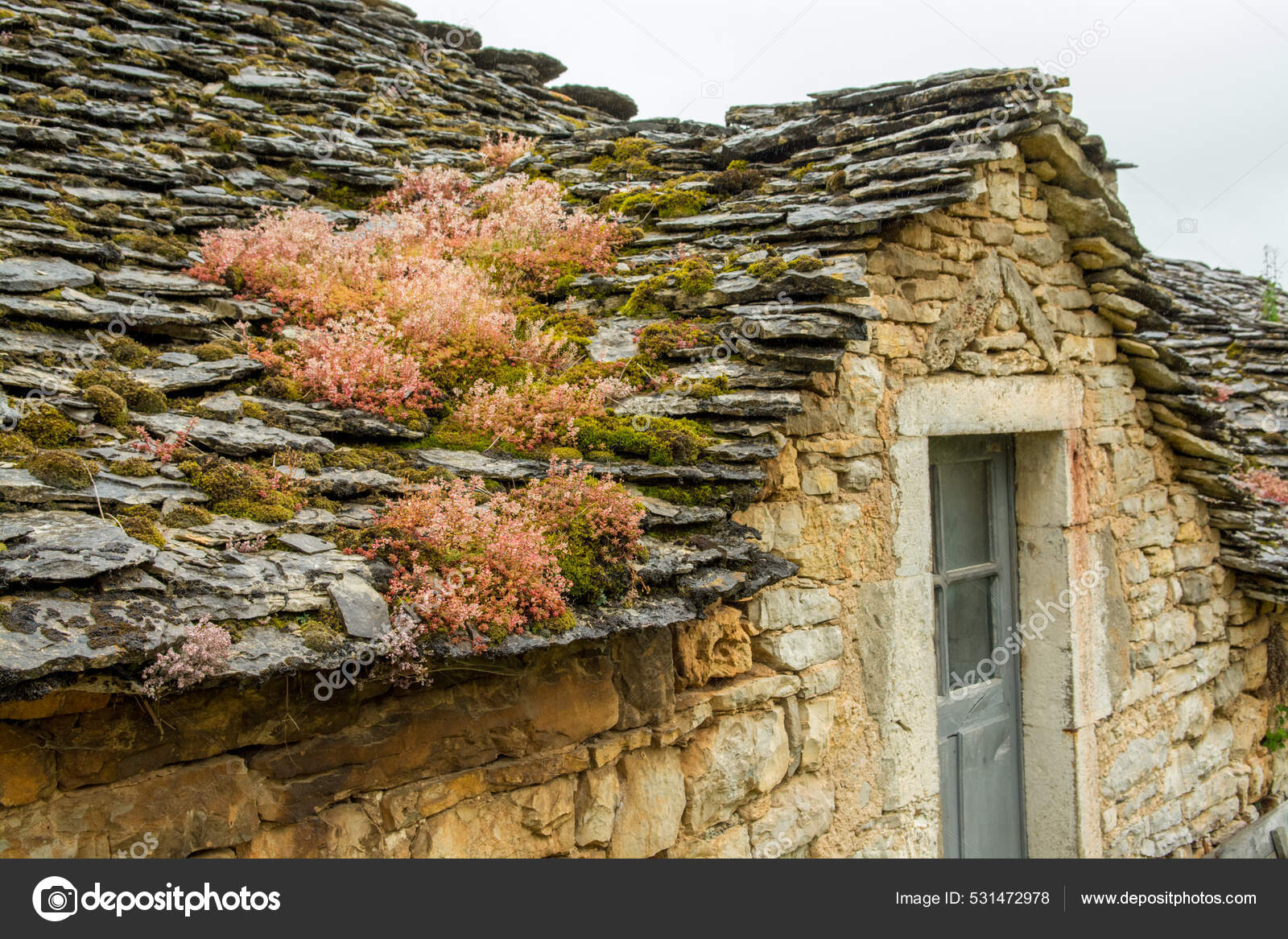 Pilgrimage Way Saint Guilhem Desert Flowers Grow Slate Roof Farm Stock ...