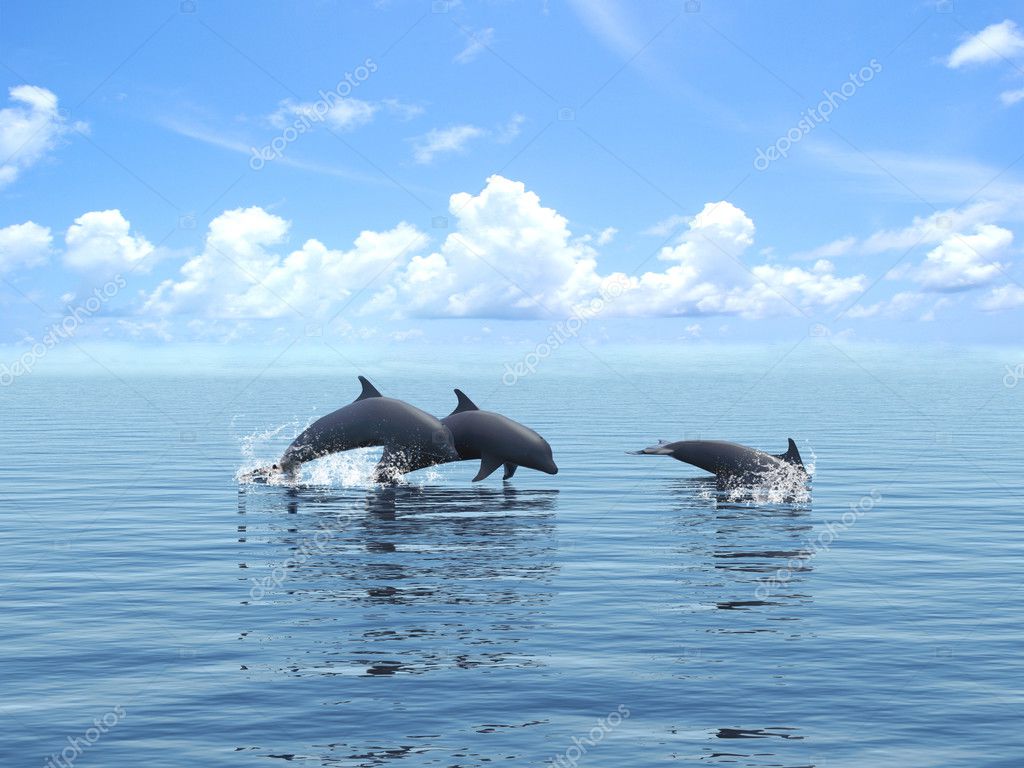 Three dolphins floating at ocean. — Stock Photo © megastorm #45342971