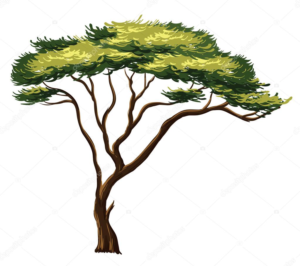 African tree Stock Vector Image by ©interactimages #12601780
