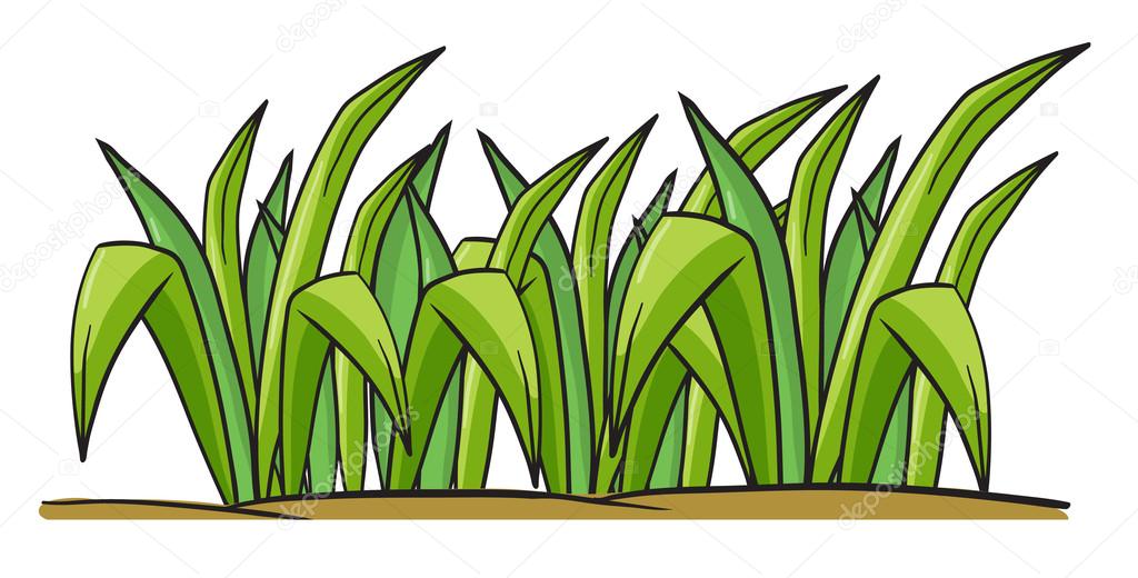 Pasto vector, gráfico vectorial © interactimages imagen #17673797