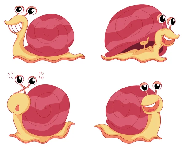 Four snails with different shells Stock Vector Image by ©interactimages ...