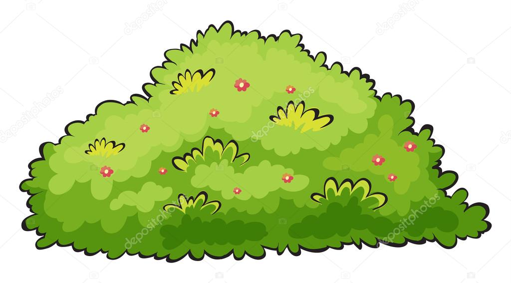 Cartoon Shrubs