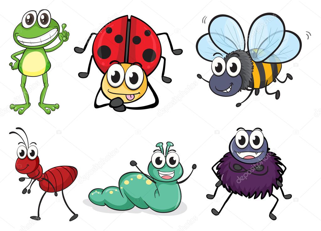 Various insects and animals Stock Vector Image by ©interactimages #18401807