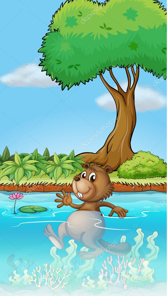 A swimming beaver — Stock Vector © interactimages #21505045