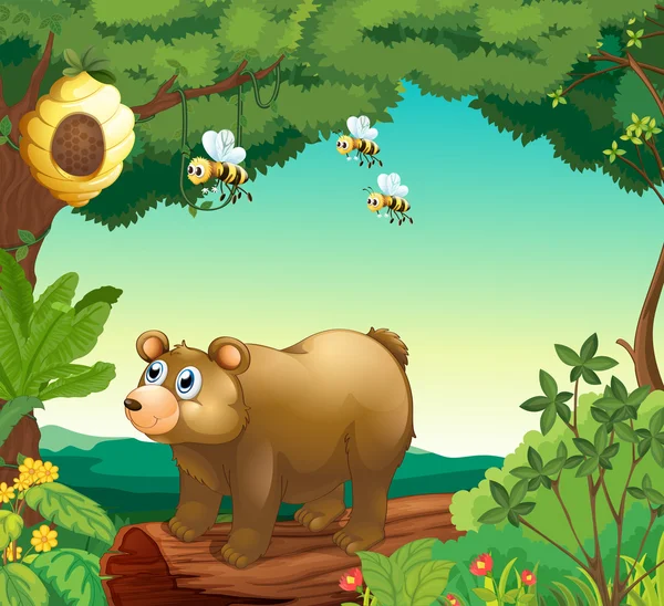 Medve rajz Stock vektorok, Medve rajz Jogdíjmentes illusztrációk ...