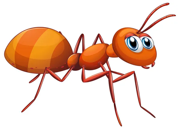 A big ant crawling — Stock Vector © interactimages #20806237