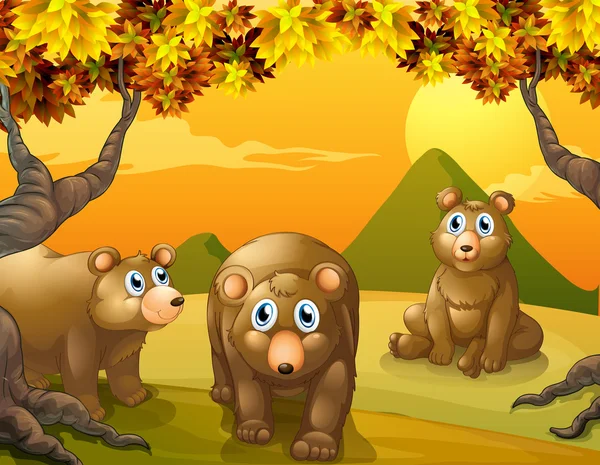 Three bears Vector Art Stock Images | Depositphotos