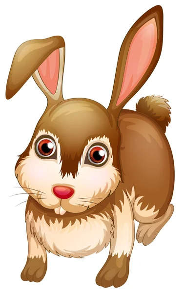 Rump Stock Vectors, Royalty Free Rump Illustrations | Depositphotos®